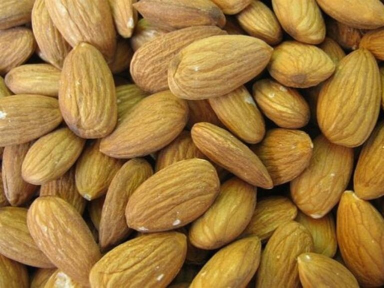 Leibomen | van IJmeren